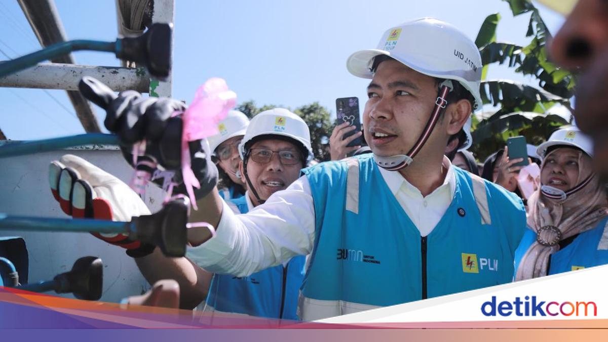 Pemkab Jember & PLN Mulai Pasang Ratusan Tiang Listrik di Bandealit