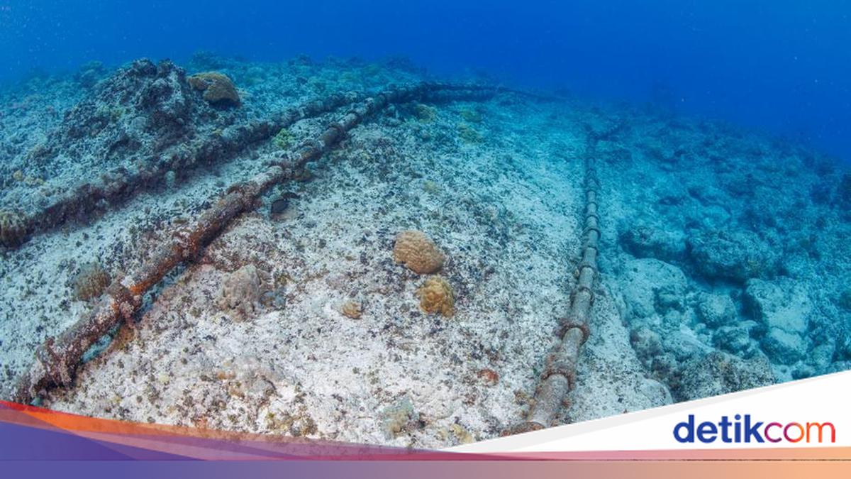 Kabel Internet Bawah Laut Laut Merah Terputus, Negara Ini Kena Dampaknya