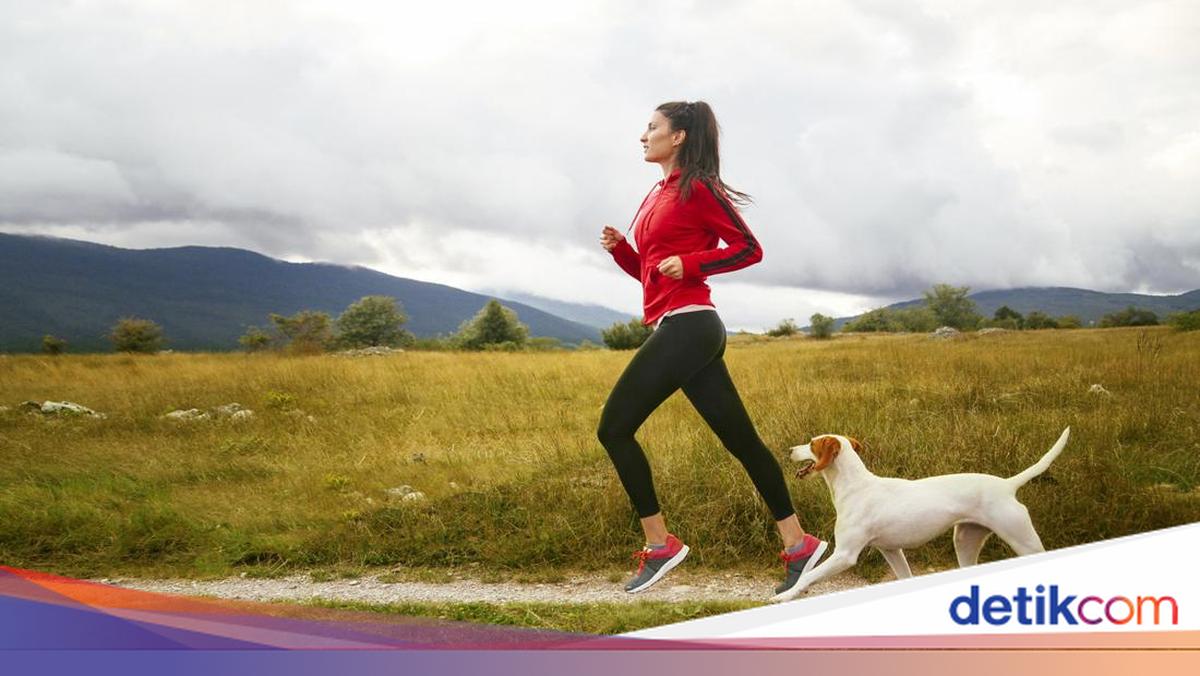 Anjing Sudah Jadi 'Teman' Manusia sejak 15.800 Tahun Lalu, Buktinya di ...