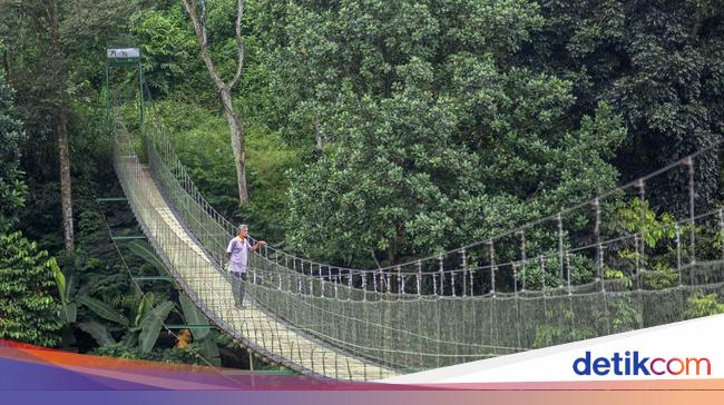 PU Siapkan Rp 630 M Bangun 63 Jembatan Gantung Baru di 2026