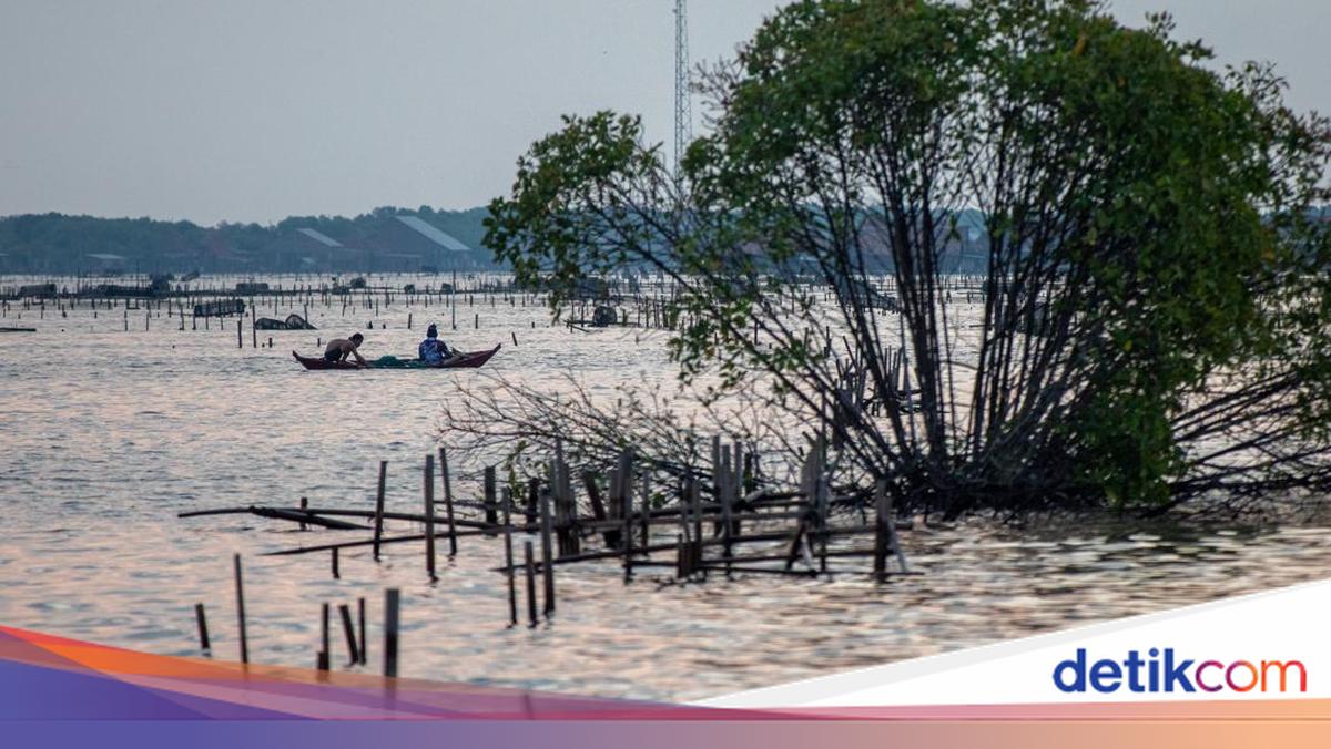 Mengenal Zayinul Fata, Ketua DPRD Demak yang Gencar Suarakan Isu Lingkungan