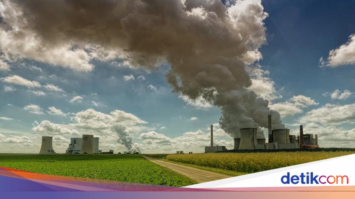 Macam-Macam Polusi Beserta Penyebabnya, Apa Saja?