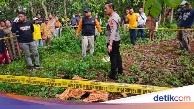 Wanita Ini Tewas Diduga Terkena Jerat Aliran Listrik untuk Penangkal Babi Hutan