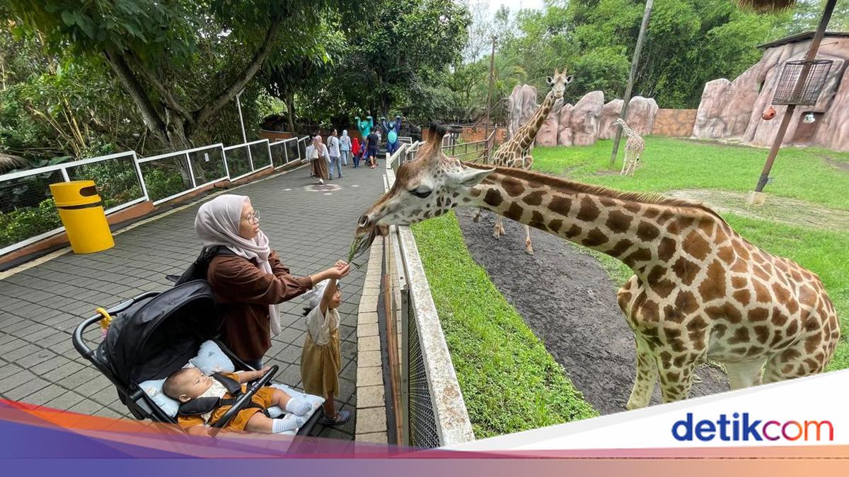 Harga Tiket Jatim Park Terbaru 2025