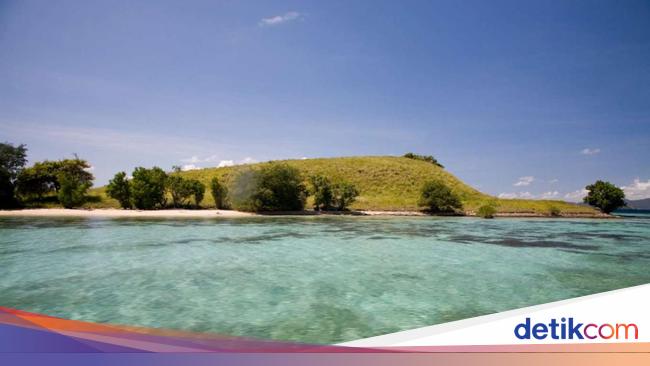 Pulau Panjang Dijual Online, padahal Kawasan Konservasi dan Suaka Alam ...