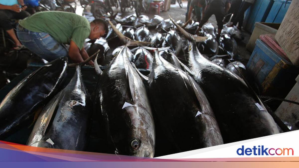 Stok Ikan Aman Saat Ramadan, tapi Harganya Ada yang Naik