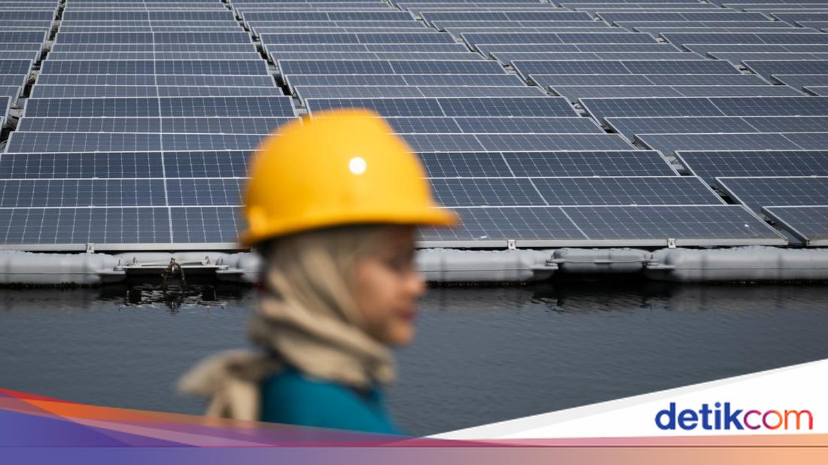 PLN Catat Laba Jumbo, Jadi Modal Genjot Energi Hijau