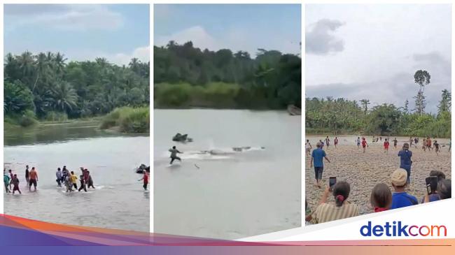 Kakek 80 Tahun Tewas Diterkam Buaya Saat Mandi di Sungai
