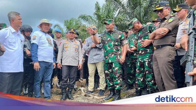 311 Ha Kebun Sawit di TNTN Diserahkan ke Satgas PKH