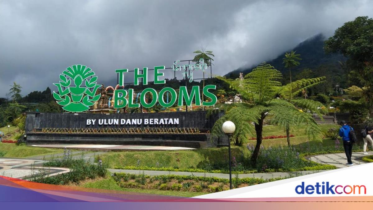 Sejumlah Tempat di Bali dengan Vibes Luar Negeri