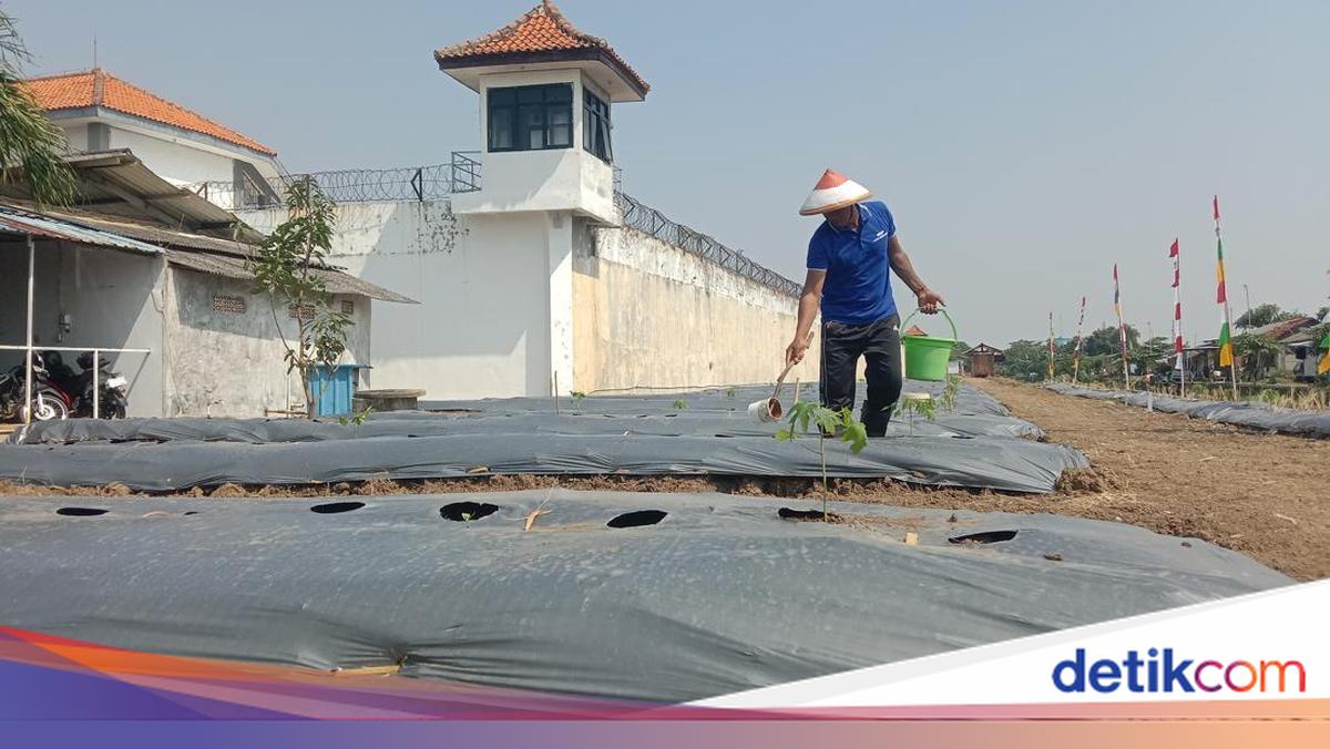 Di Balik Tembok Penjara, Ada Pangan yang Terjaga