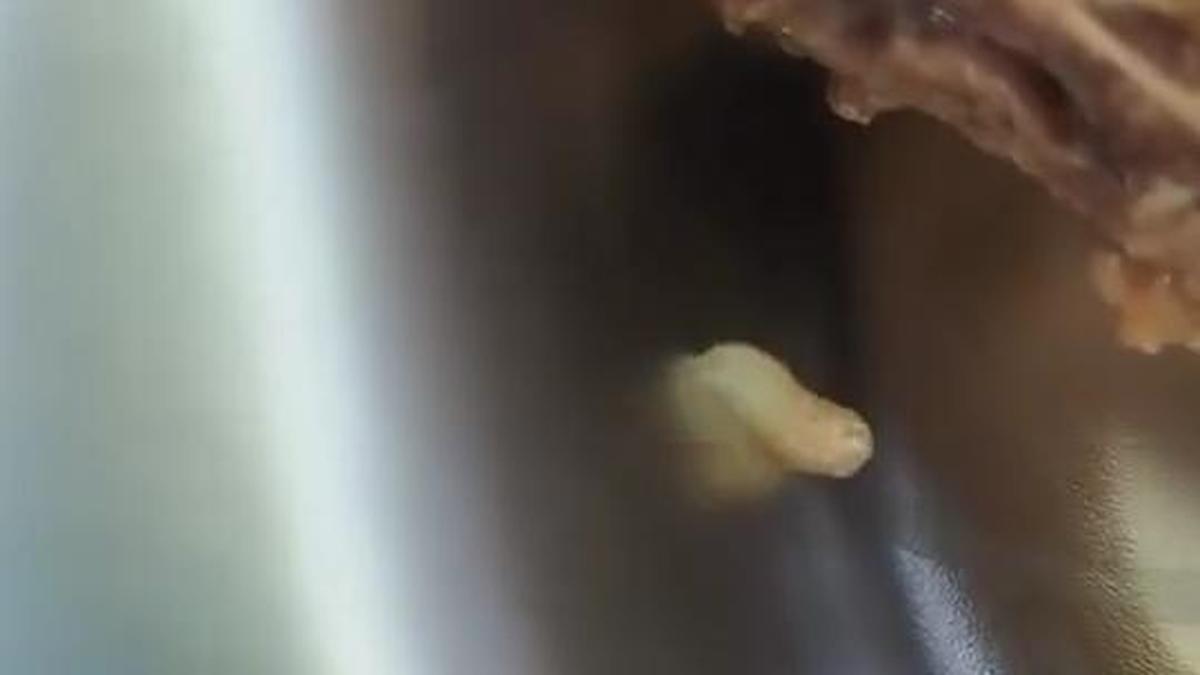 Respons BPOM RI soal Viral Temuan Belatung di Menu MBG Tuban