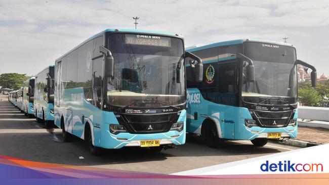 Bus Trans Sulsel Beroperasi Pagi-Malam Tiap Hari, Gratis hingga ...