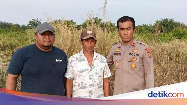 Dalih Pembakar Puluhan Hektare Lahan di Rohil: Demi Tangkap Ikan