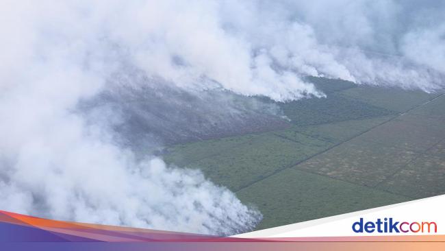 Gubernur Naikkan Status Tanggap Darurat Imbas Karhutla di Riau Meluas