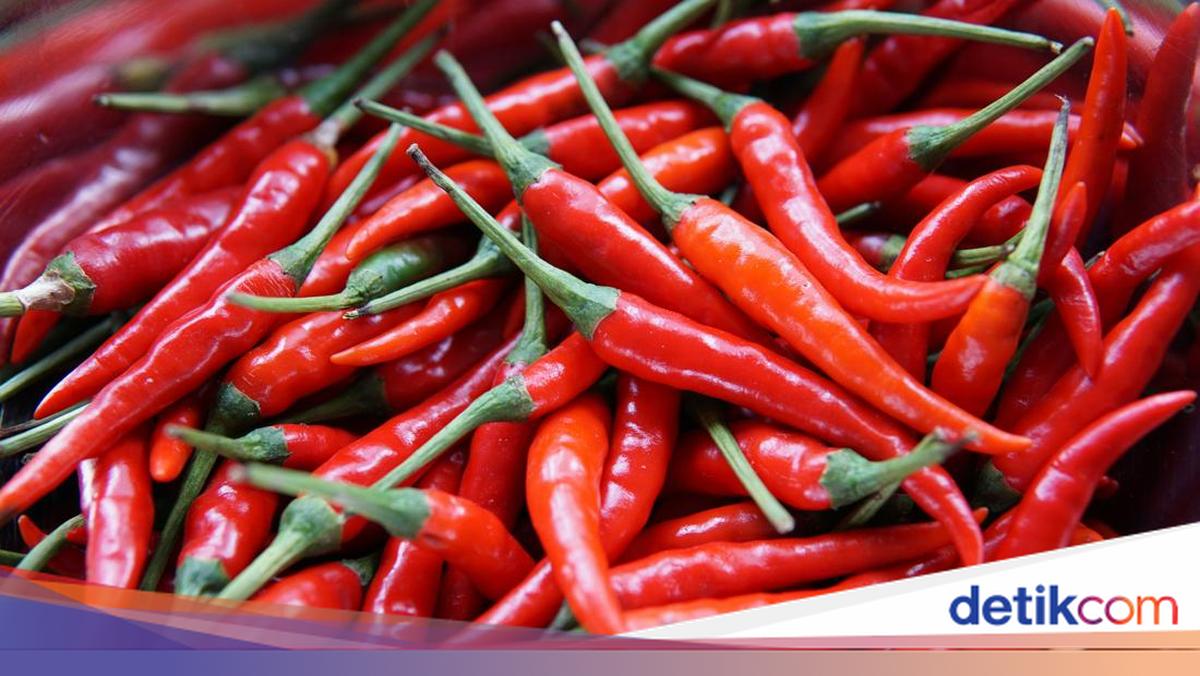 Harga Sembako Jogja Hari Ini 16 Oktober 2025: Cabai Merah Keriting Bangkit!