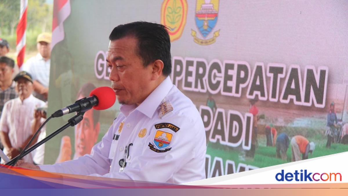 Al Haris Beberkan Potensi Besar Sektor Pertanian di Jambi