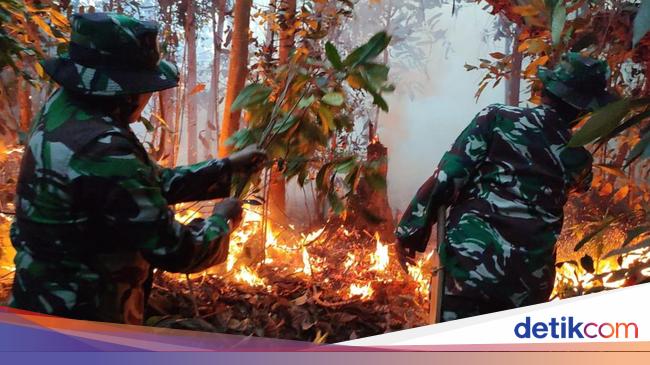 3 Hektare Lahan di Rohul Terbakar, TNI-Warga Berjibaku Padamkan Api