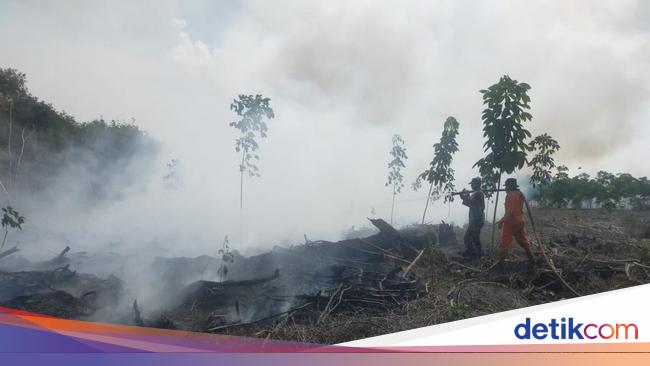 Karhutla di Muara Enim Sudah 5 Hari, Helikopter Water Bombing Dikerahkan