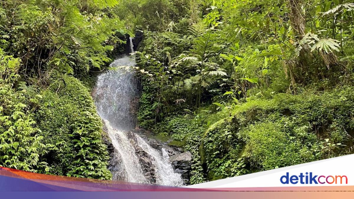 Menikmati Pesona Alam di Objek Wisata Bumi Perkemahan Ipukan Kuningan