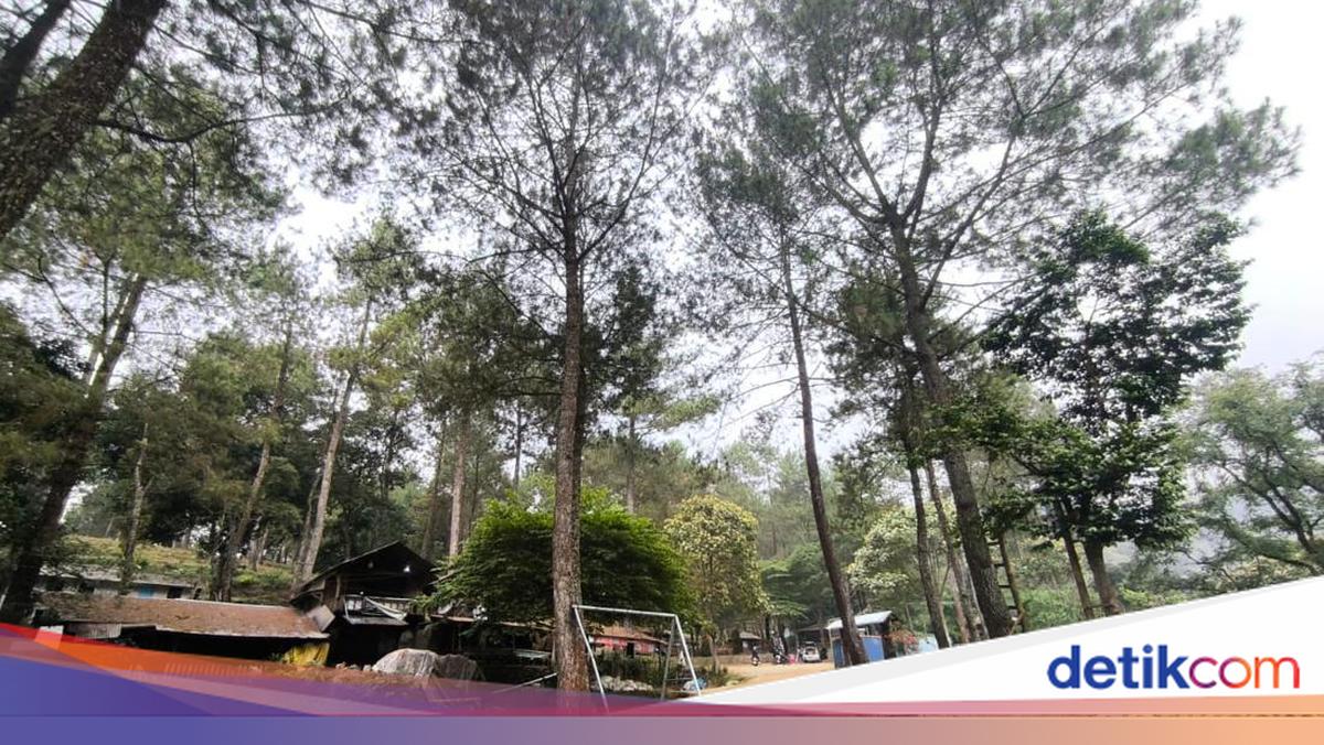 Tak Perlu Mahal, Rp 50 Ribu Bisa Puas Menikmati Bumi Perkemahan Ipukan