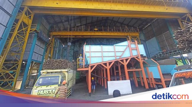 Ribuan Ton Gula Tak Laku, Petani Curiga Rafinasi Jadi Biang Kerok