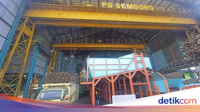 Tak Laku, 8.500 Ton Gula Menumpuk di Gudang PG Semboro Jember