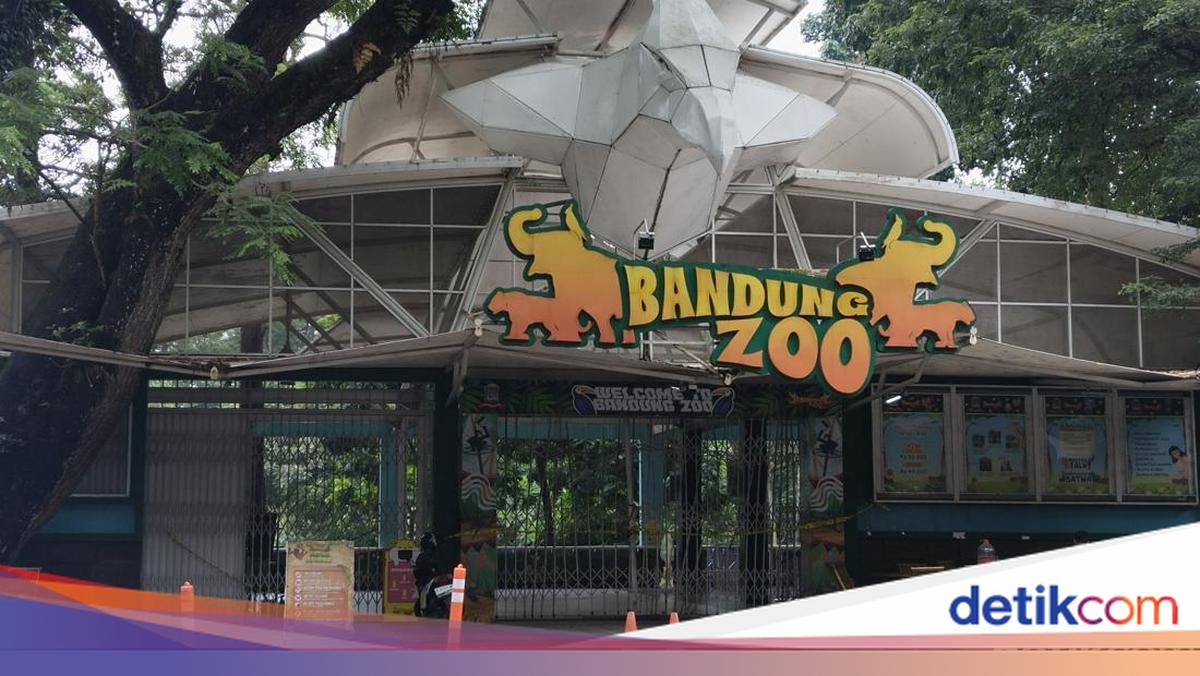 Tahun 2025 yang Penuh Gejolak di Bandung Zoo