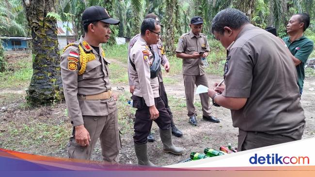 Polres Pelalawan Gerebek Kafe Remang-remang di Kebun Sawit, Miras Disita