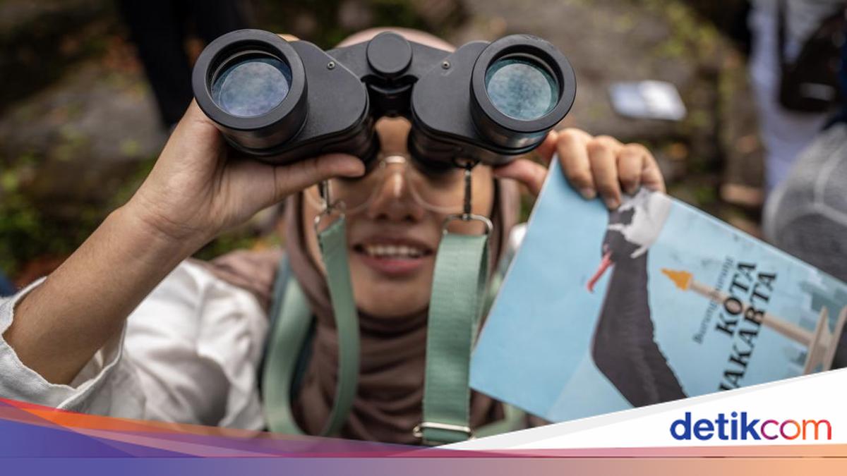 Studi: Mengamati Burung Bisa Memperlambat Penuaan, Kok Bisa?