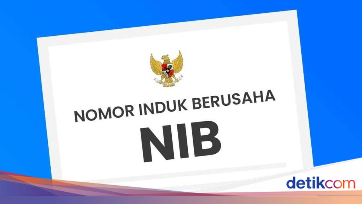 Apa Itu NIB? Ini Pengertian, Fungsi, Cara Membuat, Syarat, dan Cara Ceknya