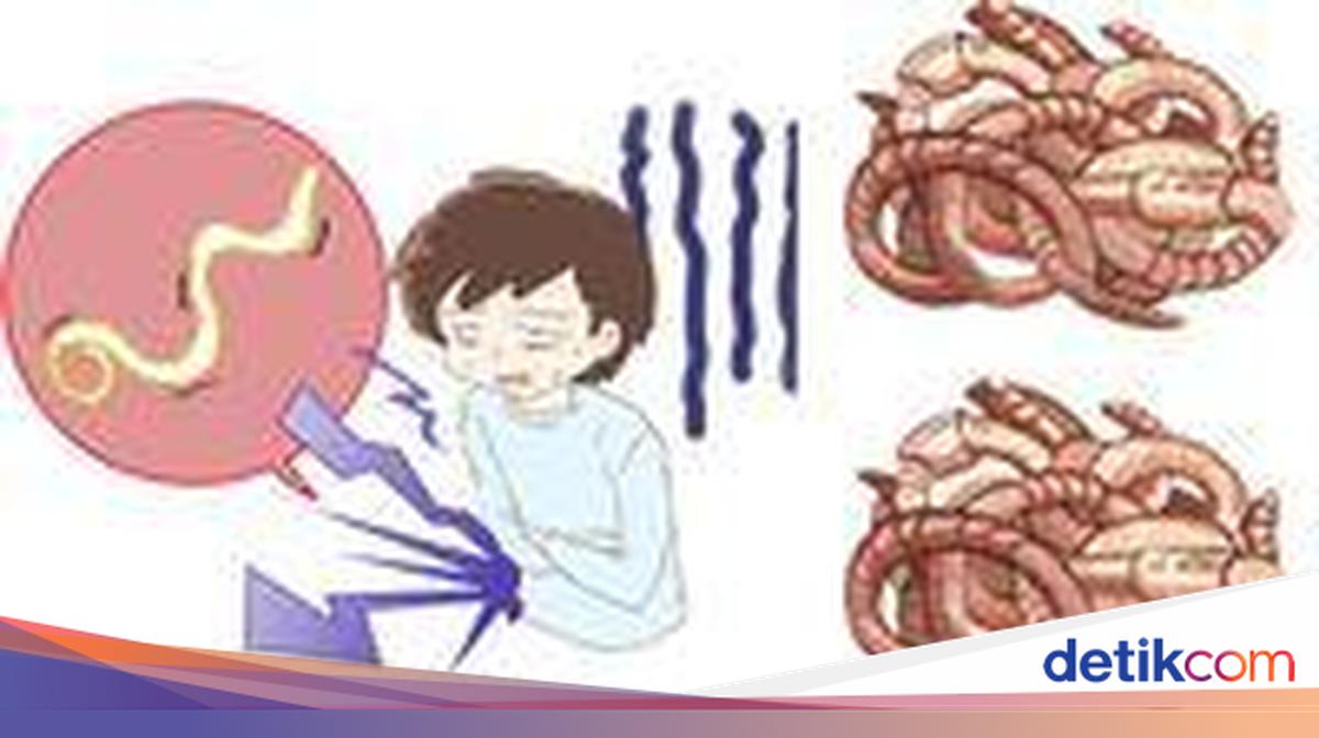 5 Cacing yang Bisa Masuk ke Tubuh Manusia Lengkap dengan Caranya