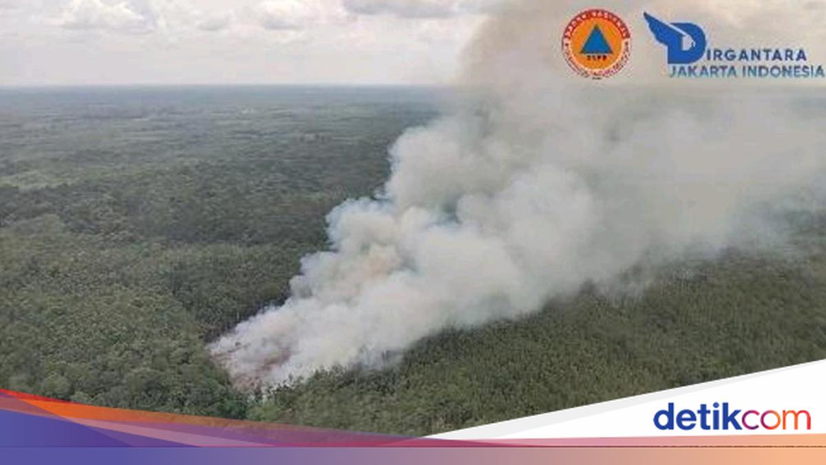 Luas Karhutla Sumsel 5.264,2 Hektare, Terbanyak di OKI dan Muba