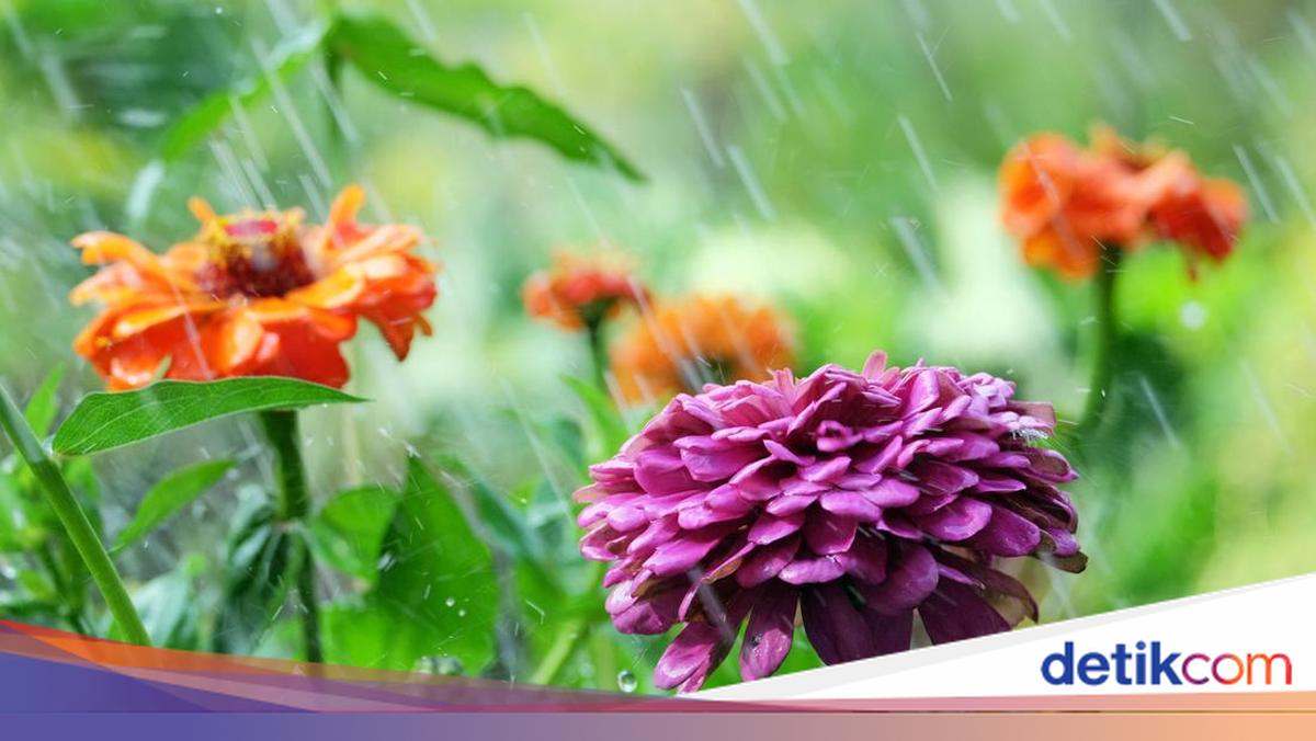 12 Nama Musim dalam Pranata Mangsa Jawa dan Periode Waktu Terjadinya