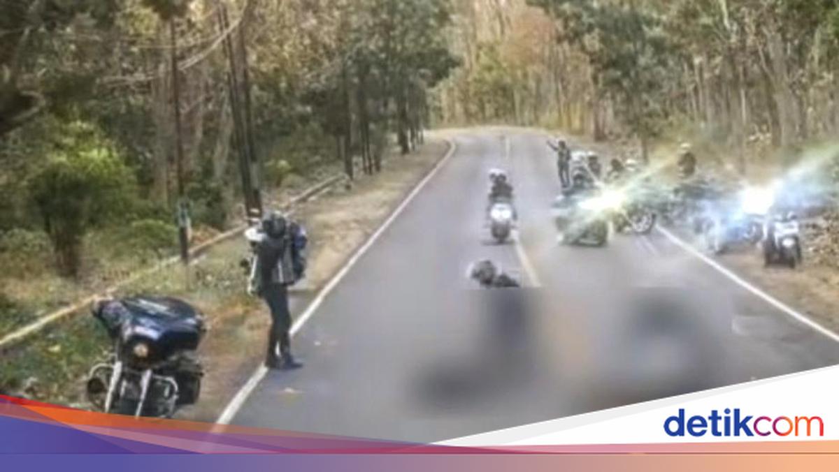 Kecelakaan Moge di Situbondo yang Viral Tewaskan 1 Orang