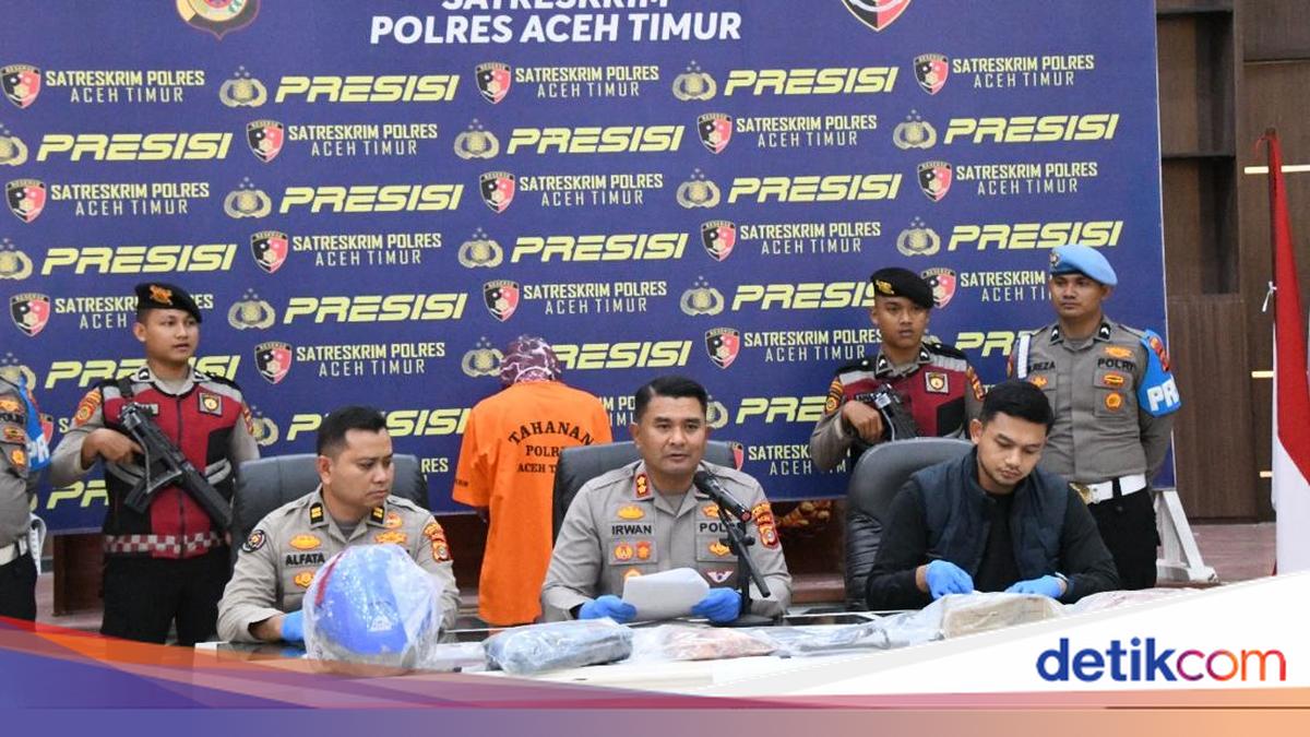 5 Fakta Kasus Pembunuhan Kurir Paket di Aceh Timur