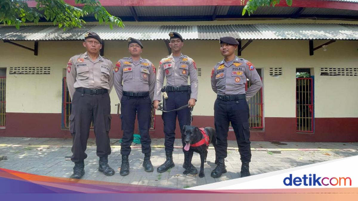 Cerita Ketty Anjing K-9 Ikut Ungkap Kasus Mutilasi Tiara