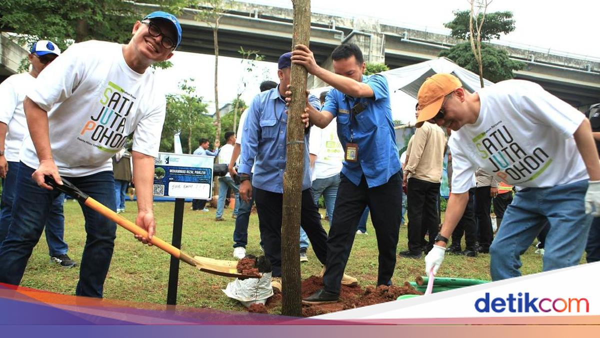 Hijaukan Bandara, InJourney Airports Tanam 1 Juta Pohon