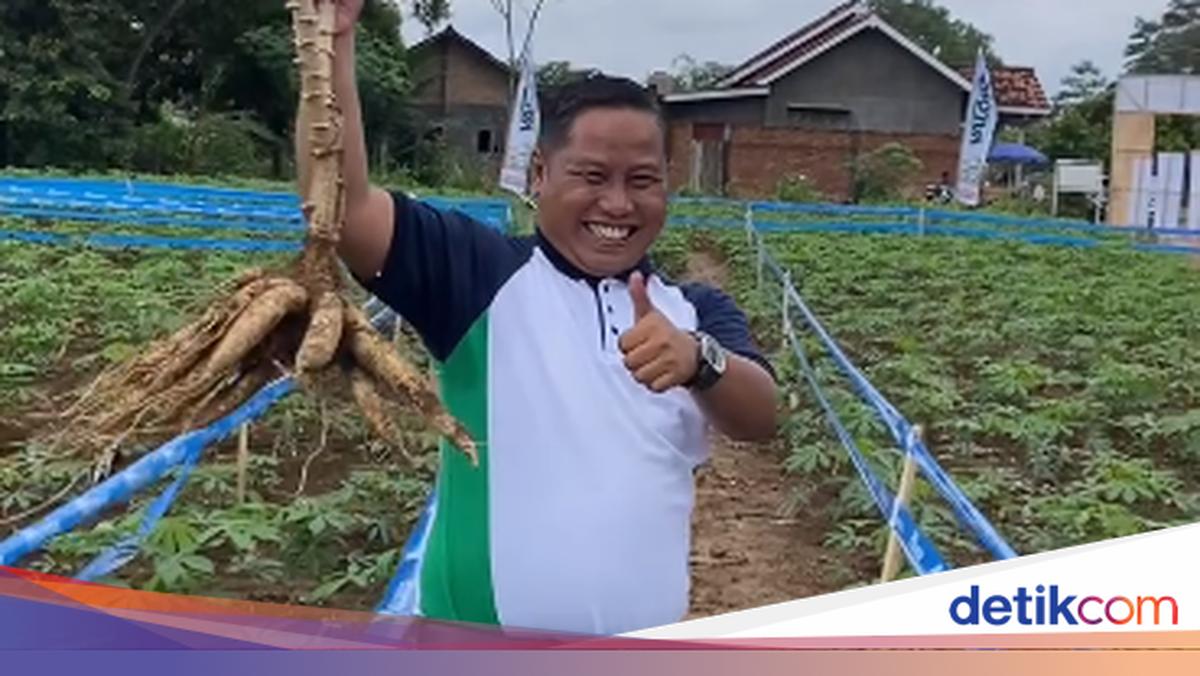 Narji Ajak Gen Z Bertani