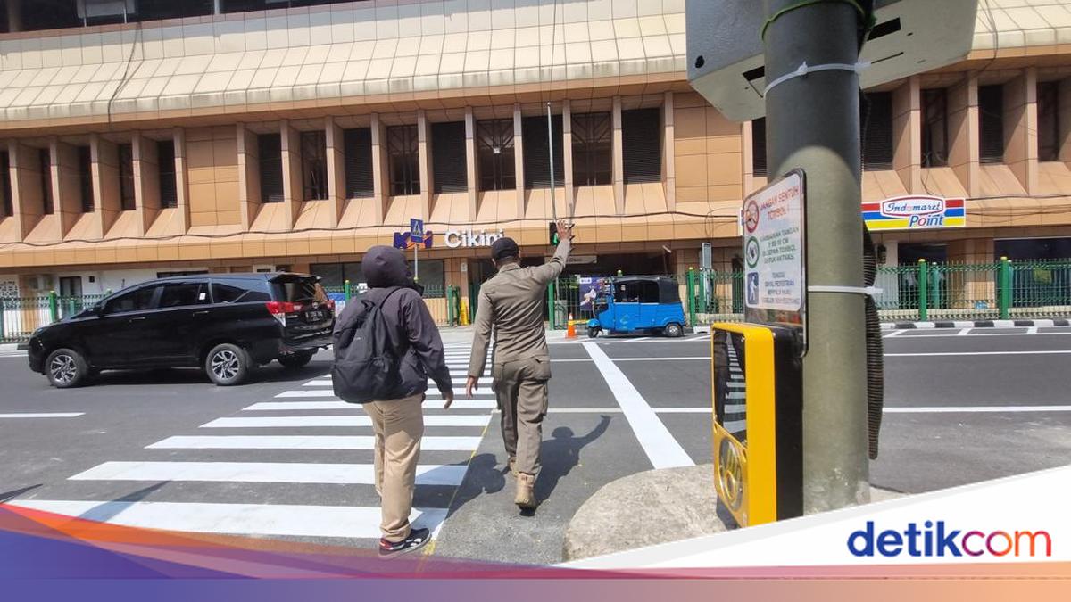 Apa Itu Pelican Cross dan Bedanya dengan Zebra Cross?
