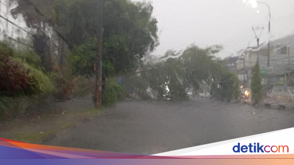 Hujan Disertai Angin di Serang, Pohon Tumbang-Jalan Sudirman Tergenang
