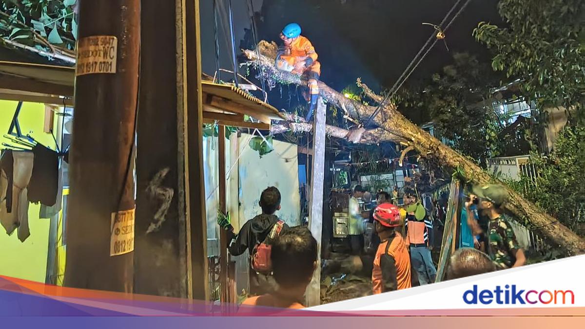 Hujan dan Angin Kencang, Pohon Tumbang Timpa Rumah-Tutup Jalan di Bogor