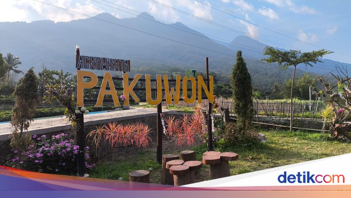 Agrowisata Pakuwon Kuningan, Tempat Wisata Murah dengan Panorama Indah