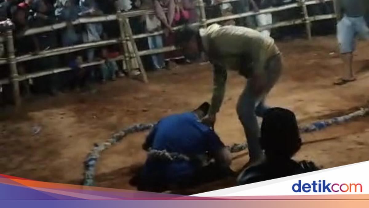 Viral Pria Meninggal Saat Lomba Tarik Tambang di Sumenep