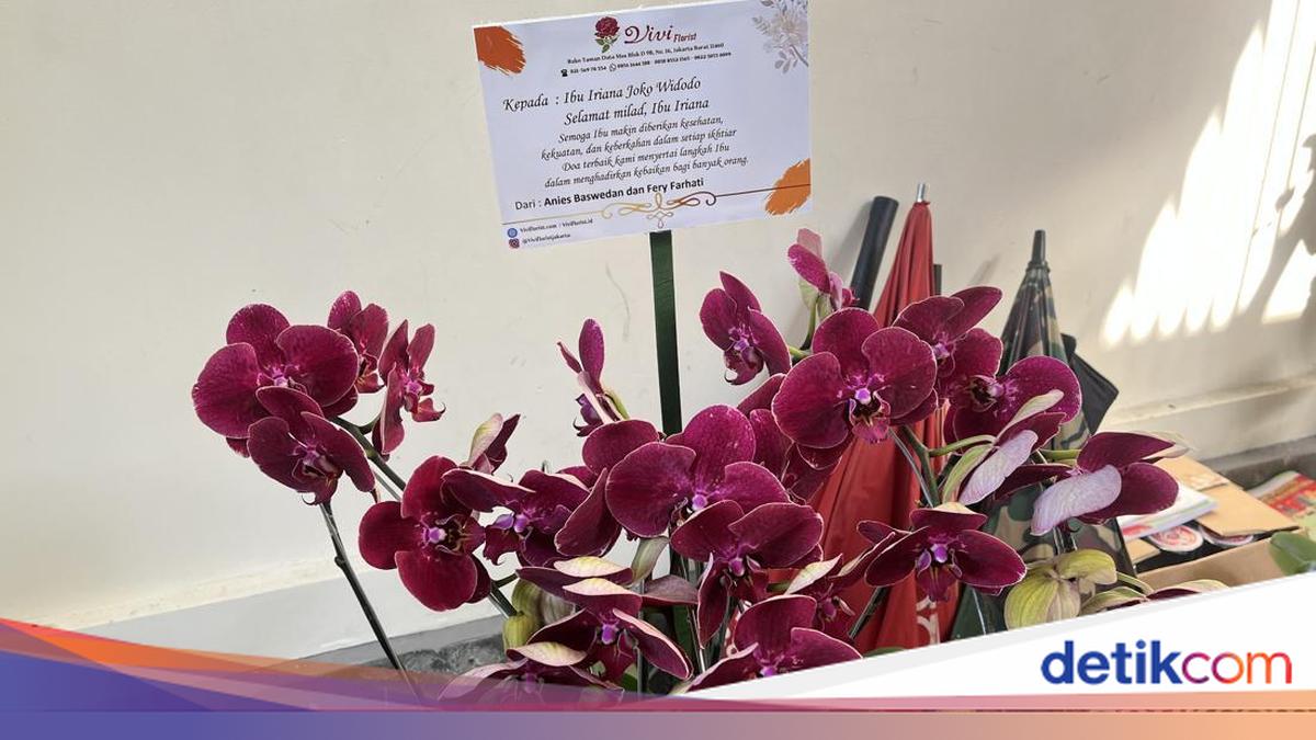 Iriana Jokowi Ultah Ke-62, Anies Kirim Anggrek Ungu ke Solo