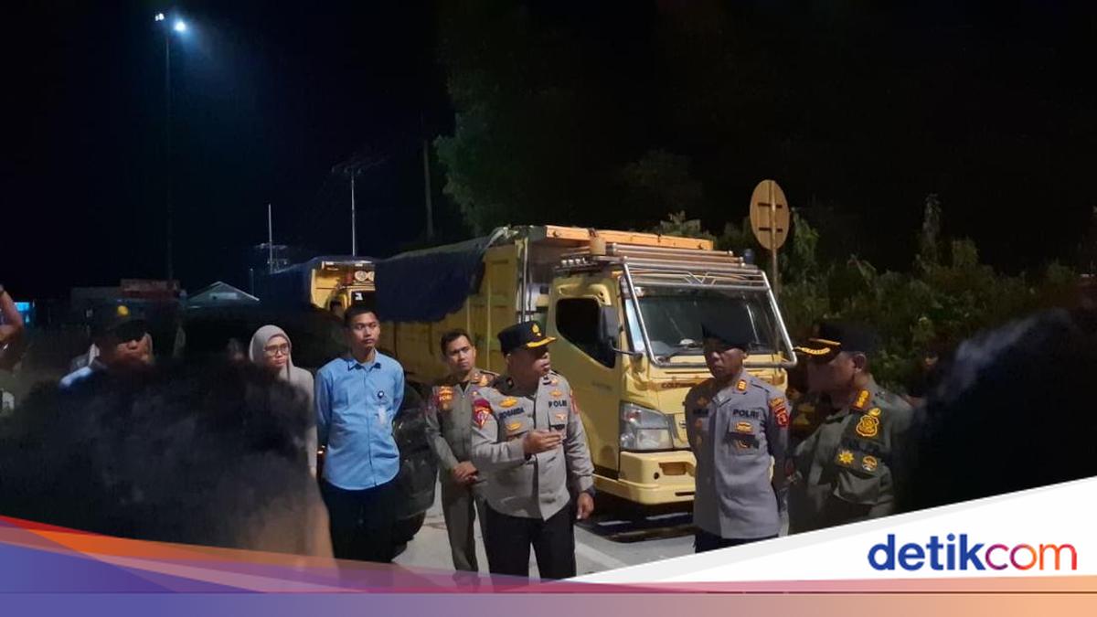 Aparat Bongkar Tambang Ilegal hingga Perambahan Hutan di Kawasan IKN