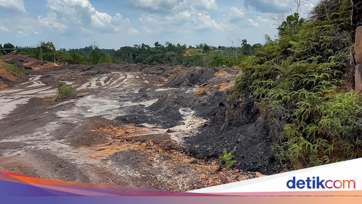 Sudah Ada 4 Tersangka dalam Kasus Tambang Ilegal Batu Bara di Wilayah IKN