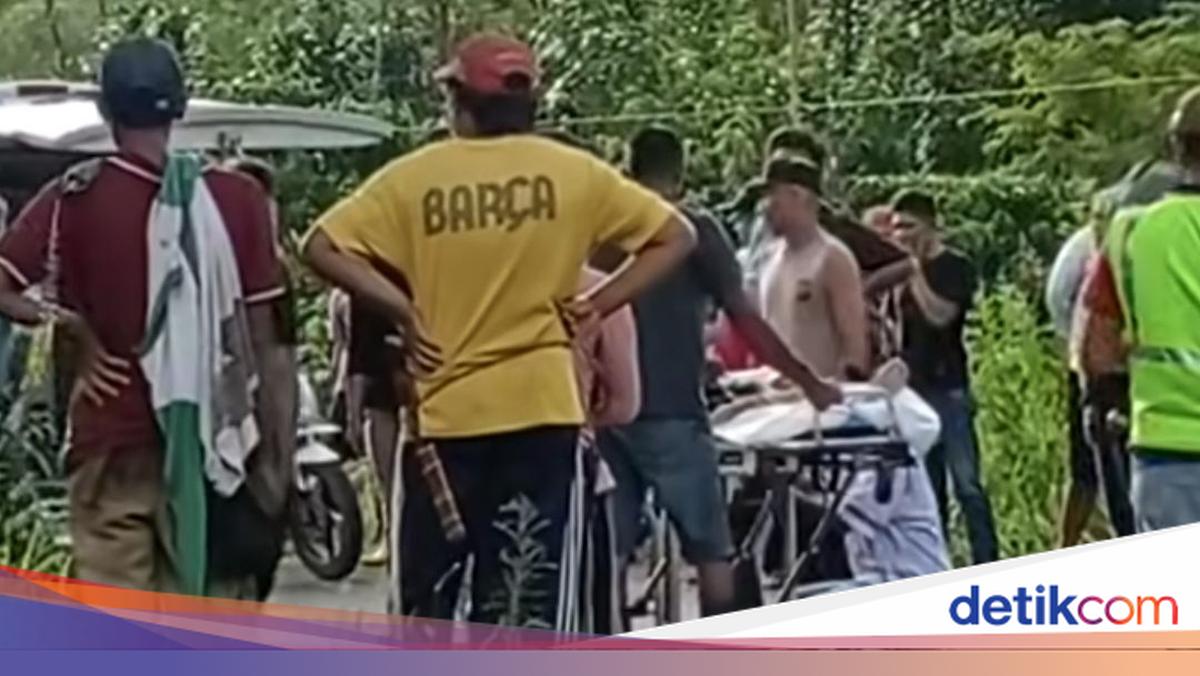 Detik-detik Motor Adu Kambing di Pagar Alam hingga 2 Remaja Tewas