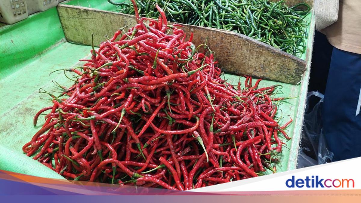 Bikin Inflasi, Harga Cabai di Pekanbaru Tembus Rp 120 Ribu/Kg