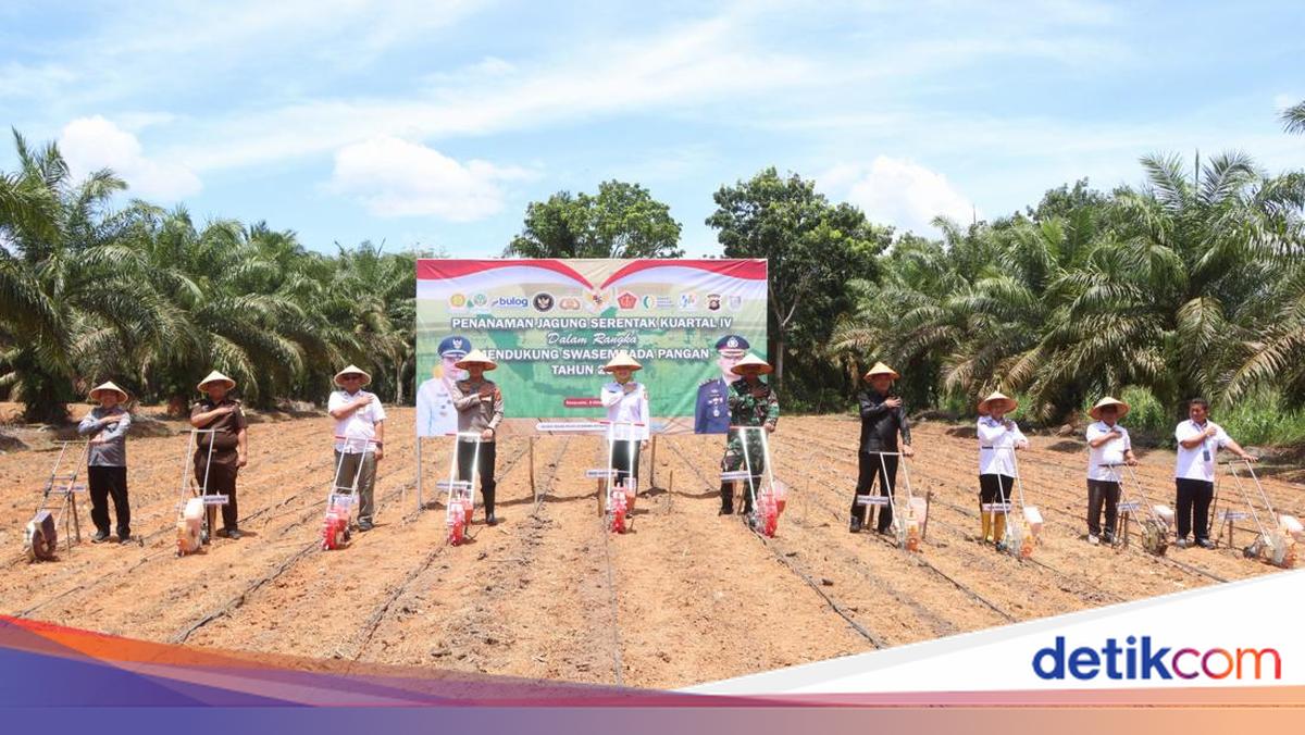 Kapolres Banyuasin Tanam Jagung Kuartal IV Dukung Swasembada Pangan 2025